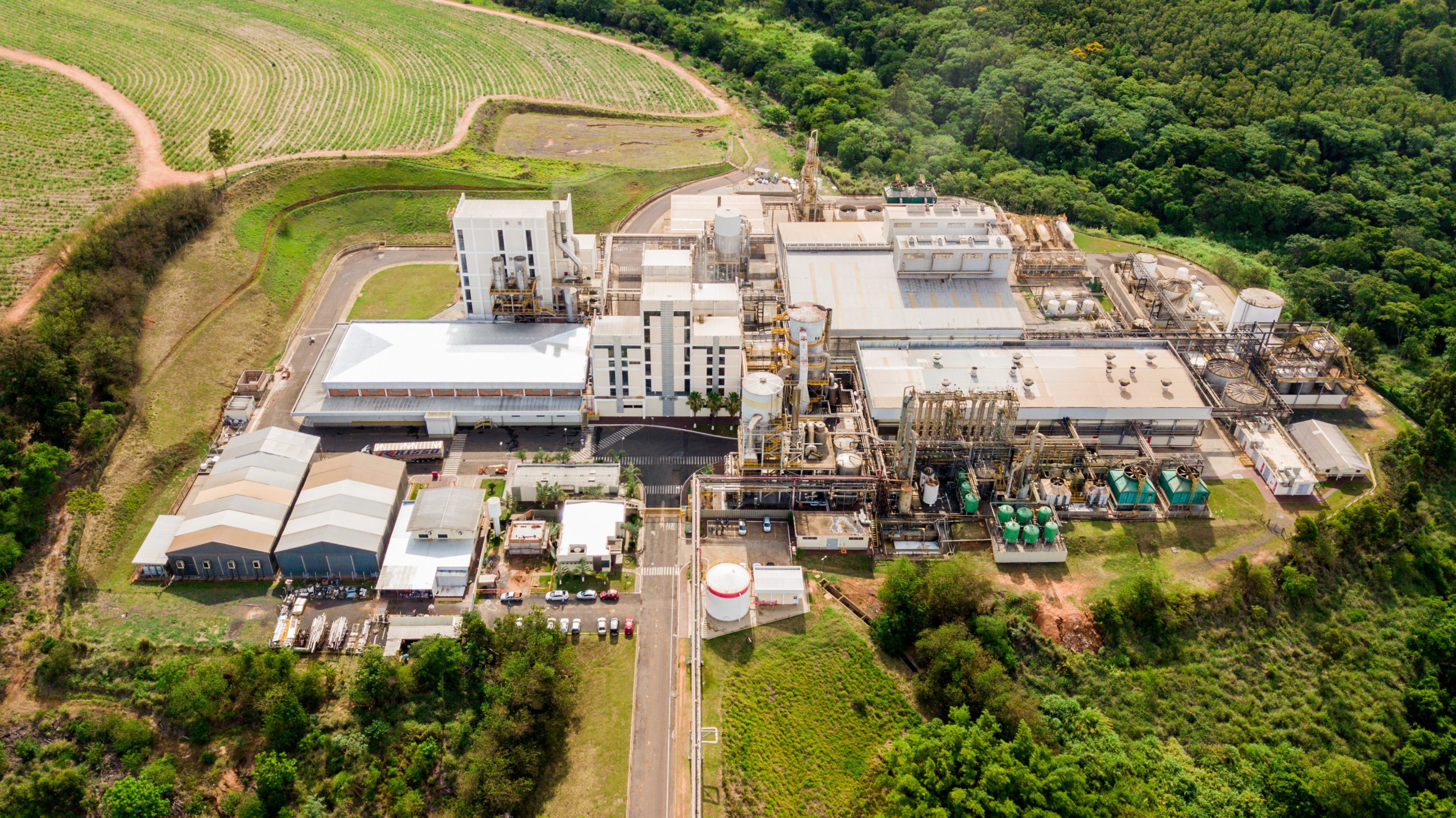 Press Release - Zilor